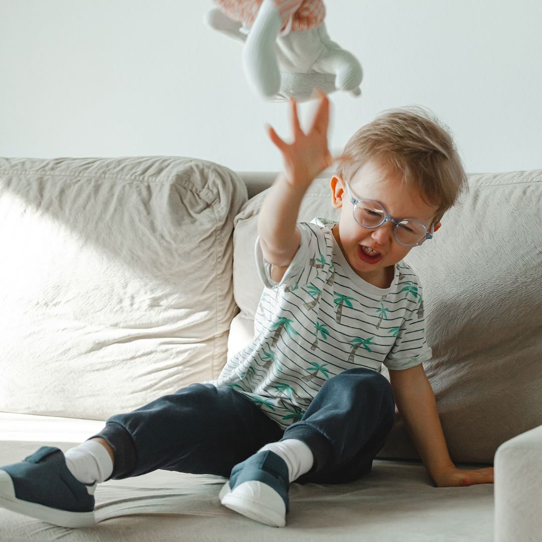 Tratamiento del trastorno negativista desafiante en Embajadores, Madrid ...